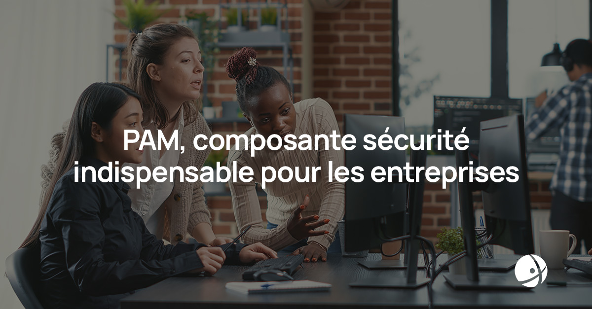 PAM : composante sécurité indispensable pour les entreprises | SYNETIS